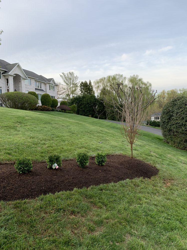 LIVING FOREST LANDSCAPE - 30 Photos - 1001 Albemarle Rd, Sterling ...