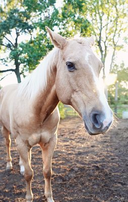 WEST STABLES - Updated December 2025 - 32 Photos - 12300 West Dr ...