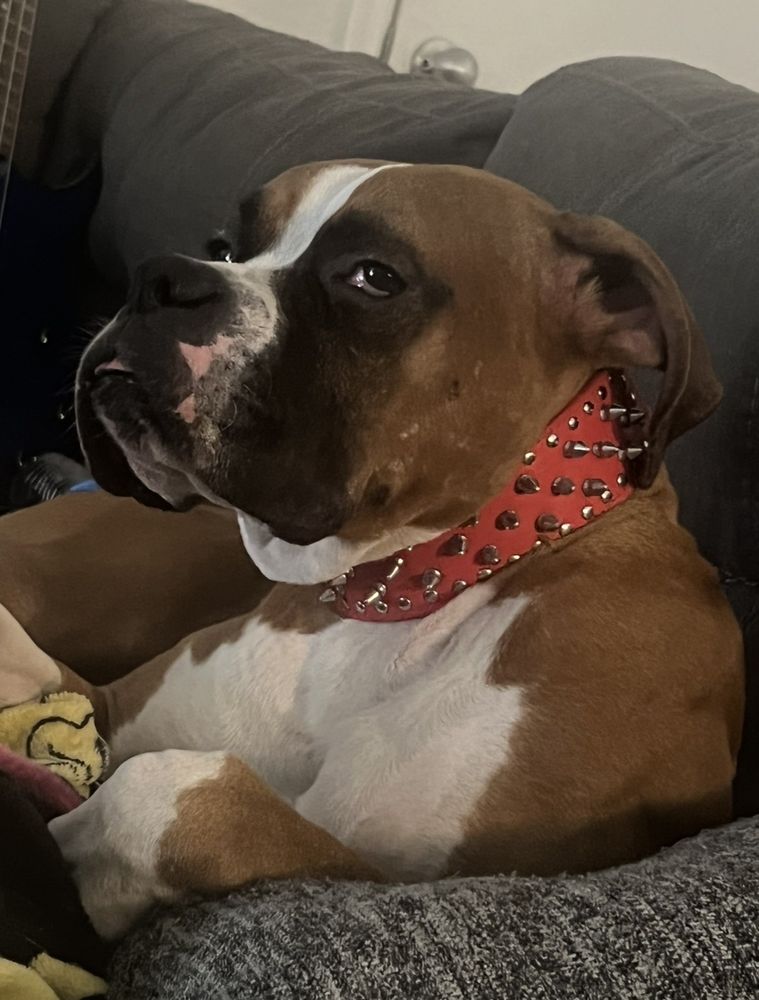 SURPRISE POLICE DEPARTMENT - Updated January 2026 - 14250 W Statler Plz ...