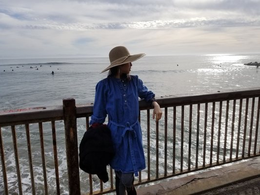 LIGHTHOUSE FIELD STATE BEACH - 486 Photos & 139 Reviews - 701 W Cliff ...