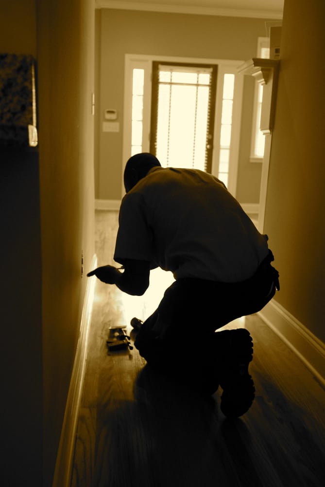 PYRAMID EXTERMINATORS & WILDLIFE CONTROL - Updated April 2024 - 31 ...