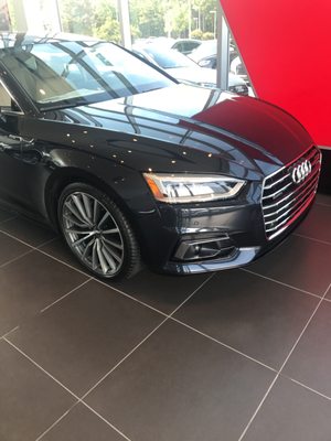 AUDI CARY - Updated May 2026 - 21 Photos & 83 Reviews - 600 Auto Park ...