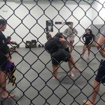 STOUT PGH - TEAM RENZO GRACIE - Updated January 2026 - 28 Photos & 39 ...