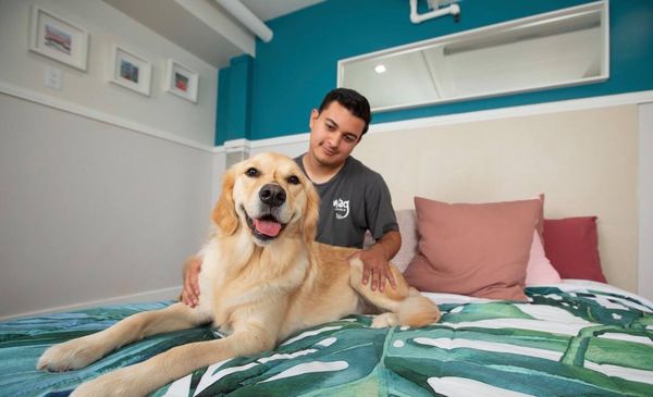 WAG HOTELS - HOLLYWOOD - Updated December 2025 - 181 Photos & 242 ...