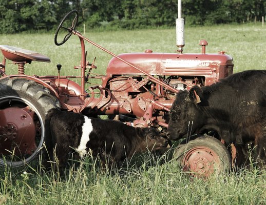 TOTTEN FAMILY FARM - Updated September 2025 - 442 Naughright Rd, Long ...