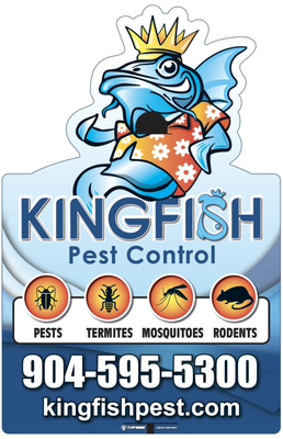 KINGFISH PEST CONTROL - Updated August 2024 - 78 Photos & 36 Reviews ...