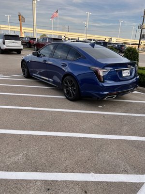 BAYWAY CADILLAC SOUTHWEST - Updated January 2026 - 16 Photos & 37 ...