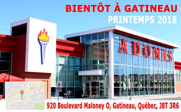 ADONIS - Updated January 2026 - 14 Reviews - 920 Boulevard Maloney O ...