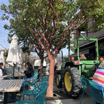 MOHI FARM - Updated July 2025 - 480 Photos & 308 Reviews - 90 E 3rd St ...