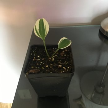 GILBERT H WILD & SON - Updated November 2025 - 11 Reviews - 3044 State ...