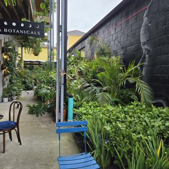 THE TELL ME BAR - Updated April 2025 - 37 Photos & 22 Reviews - 1235 St ...