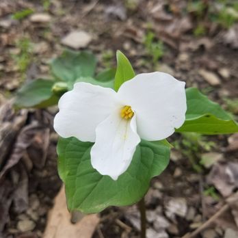 DUFF PARK - Updated December 2025 - 45 Photos & 11 Reviews - 4500 ...