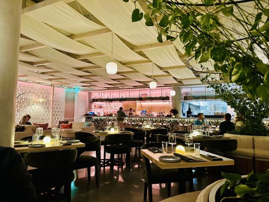 TERRA MAE - Updated May 2025 - 250 Photos & 43 Reviews - 1150 NE ...