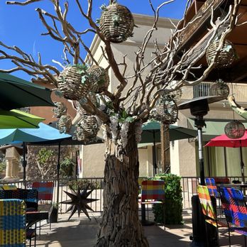 EL PATIO LA QUINTA - Updated September 2024 - 169 Photos & 163 Reviews ...