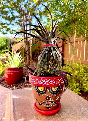 HIGH HAND NURSERY - Updated November 2024 - 663 Photos & 184 Reviews ...