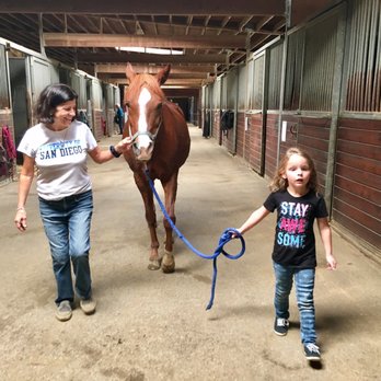 SUMMIT RANCH EQUINE CENTER - Updated January 2026 - 65 Photos & 13 ...