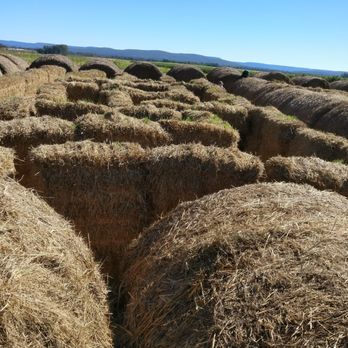 TATE FARMS - Updated December 2025 - 18 Photos & 10 Reviews - 8414A ...