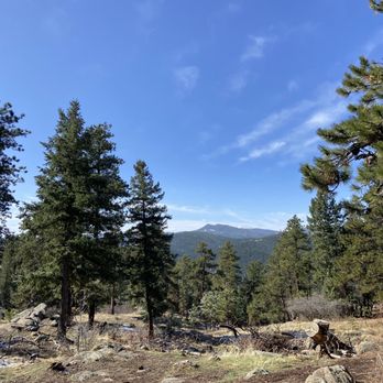 MOUNT FALCON PARK - Updated December 2025 - 395 Photos & 98 Reviews ...