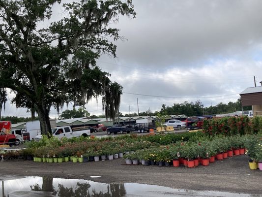 PLANT CITY FARM MARKET - Updated December 2025 - 43 Photos & 13 Reviews ...