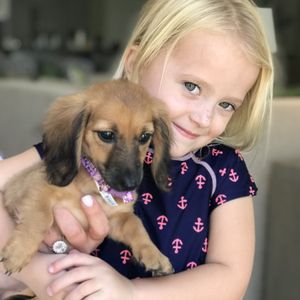 DIYA TANTAWI, MD - MIKE AND JAN SALTA HEALTH CENTE - Updated November ...