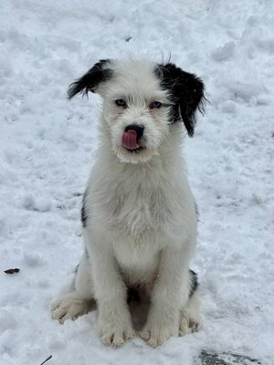 ALL TAILS R WAGGIN - Updated December 2025 - 148 Photos & 82 Reviews ...