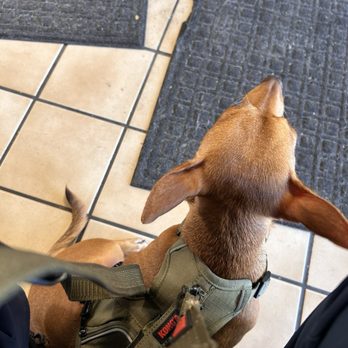 LOMA LINDA ANIMAL HOSPITAL - Updated December 2024 - 230 Photos & 734 ...