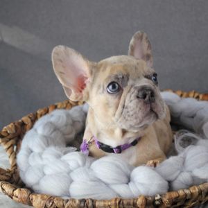 CHUCKANUT VALLEY VETERINARY CLINIC - Updated October 2025 - 12 Photos ...