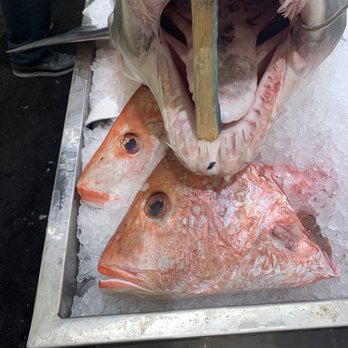 NORTH SHORE FARMS - Updated December 2025 - 32 Photos & 79 Reviews ...