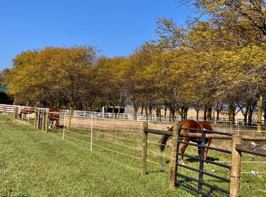 SILVER CREEK STABLES - Updated October 2025 - 23 Photos - 14558 County ...