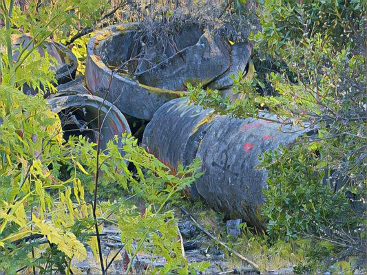 PINOLE VALLEY PARK - Updated September 2025 - 22 Photos - 3790 Pinole ...