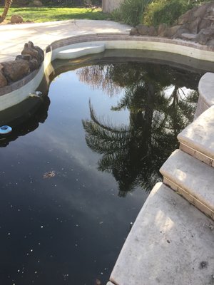 TRACY POOL SERVICE AND REPAIR - Updated October 2025 - 10 Photos - 1842 ...