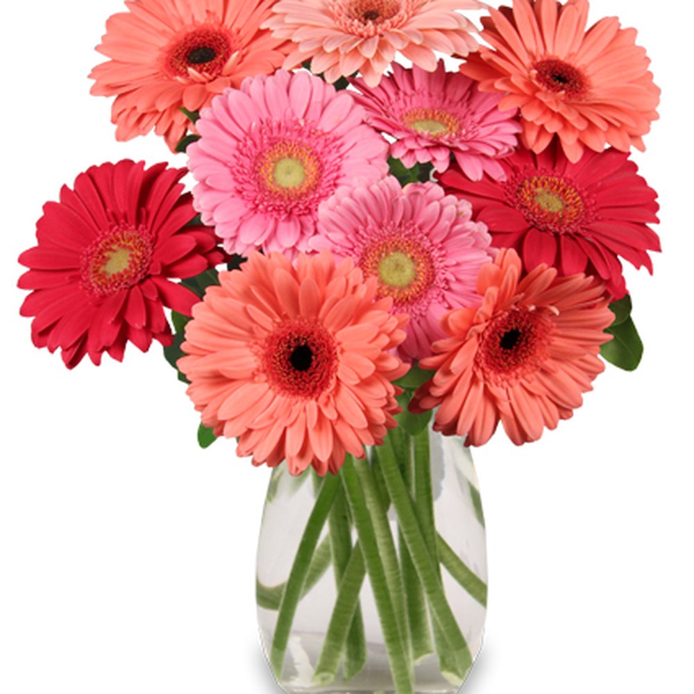 The Flower Mill Fergus Falls | Best Flower Site