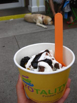 YOTALITY FROZEN YOGURT - Updated December 2025 - 17 Photos & 29 Reviews ...