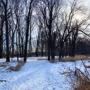 STRAWTOWN KOTEEWI PARK - 106 Photos & 17 Reviews - 12302 E Strawtown ...