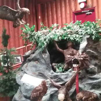 BUFFALO NATIONS LUXTON MUSEUM - Updated October 2025 - 144 Photos - 1 ...