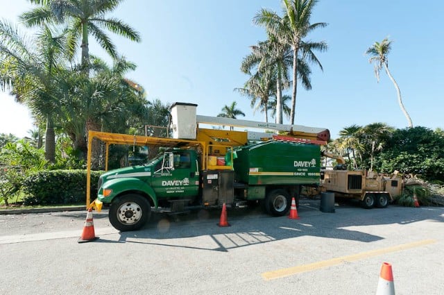 THE DAVEY TREE EXPERT COMPANY - Updated January 2026 - 17 Photos - 5515 ...