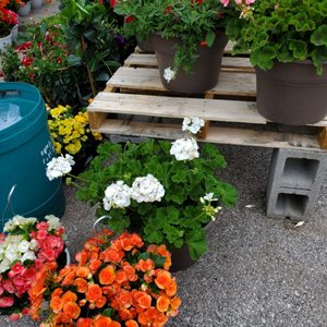 UNITED FRUIT AND PRODUCE - Updated December 2025 - 55 Produce Row ...