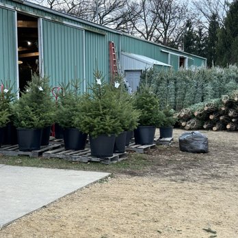 WILLIAMS TREE FARM - Updated October 2025 - 66 Photos & 26 Reviews ...