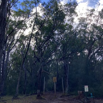 AIEA LOOP TRAIL - Updated July 2025 - 1434 Photos & 317 Reviews - 99 ...