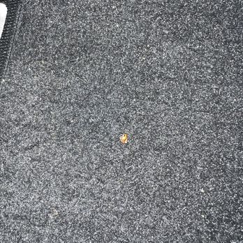 ACTION CAR RENTAL - Updated January 2025 - 133 Photos & 534 Reviews ...