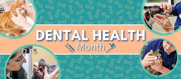 PENDLETON VETERINARY CLINIC - Updated December 2025 - 20 Photos - 625 ...