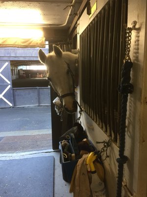 SUGAR RIDGE FARM - Updated August 2025 - 19 Photos - 46 Pine St, Dover ...