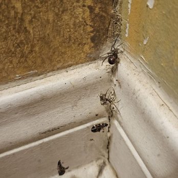 LAZY H RANCH - Updated July 2025 - 139 Photos & 119 Reviews - 16787 Hwy ...