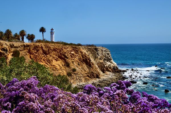 POINT VICENTE LIGHTHOUSE - Updated April 2025 - 425 Photos & 88 Reviews - 31550 Palos Verdes Dr ...
