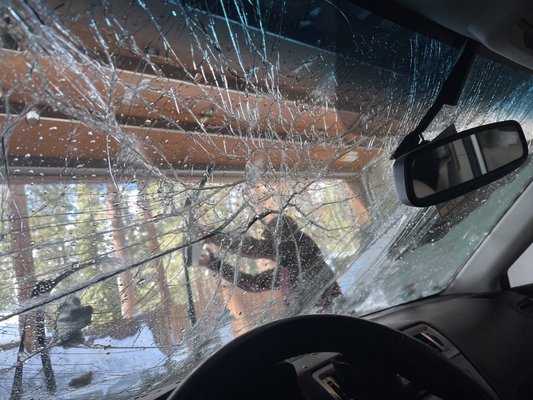 BRITE GLASS - Updated December 2025 - 60 Photos & 204 Reviews - 100 ...