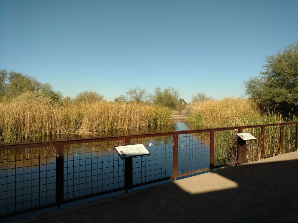 Rio Salado Habitat Restoration Area - 44 Photos & 13 Reviews - Parks ...