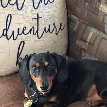 NAVARRE ANIMAL HOSPITAL - Updated December 2025 - 13 Photos & 29 ...