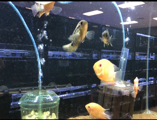 FISH FREAKS - 17 Photos & 24 Reviews - 2502 S 133rd Plz, Omaha ...