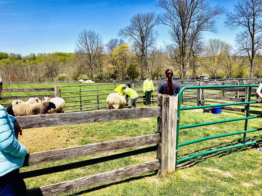 SPRINGTON MANOR FARM - 55 Photos - 860 Springton Rd, Glenmoore ...