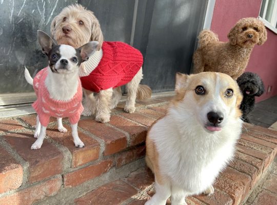 WAGON TAIL RANCH - Updated October 2025 - 188 Photos & 74 Reviews ...